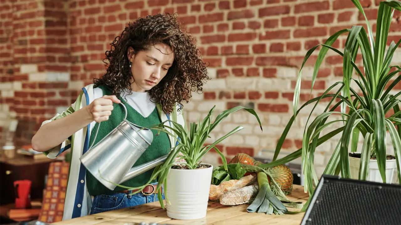 Sustainable Living ESL Discussion Questions - Smart Discussions